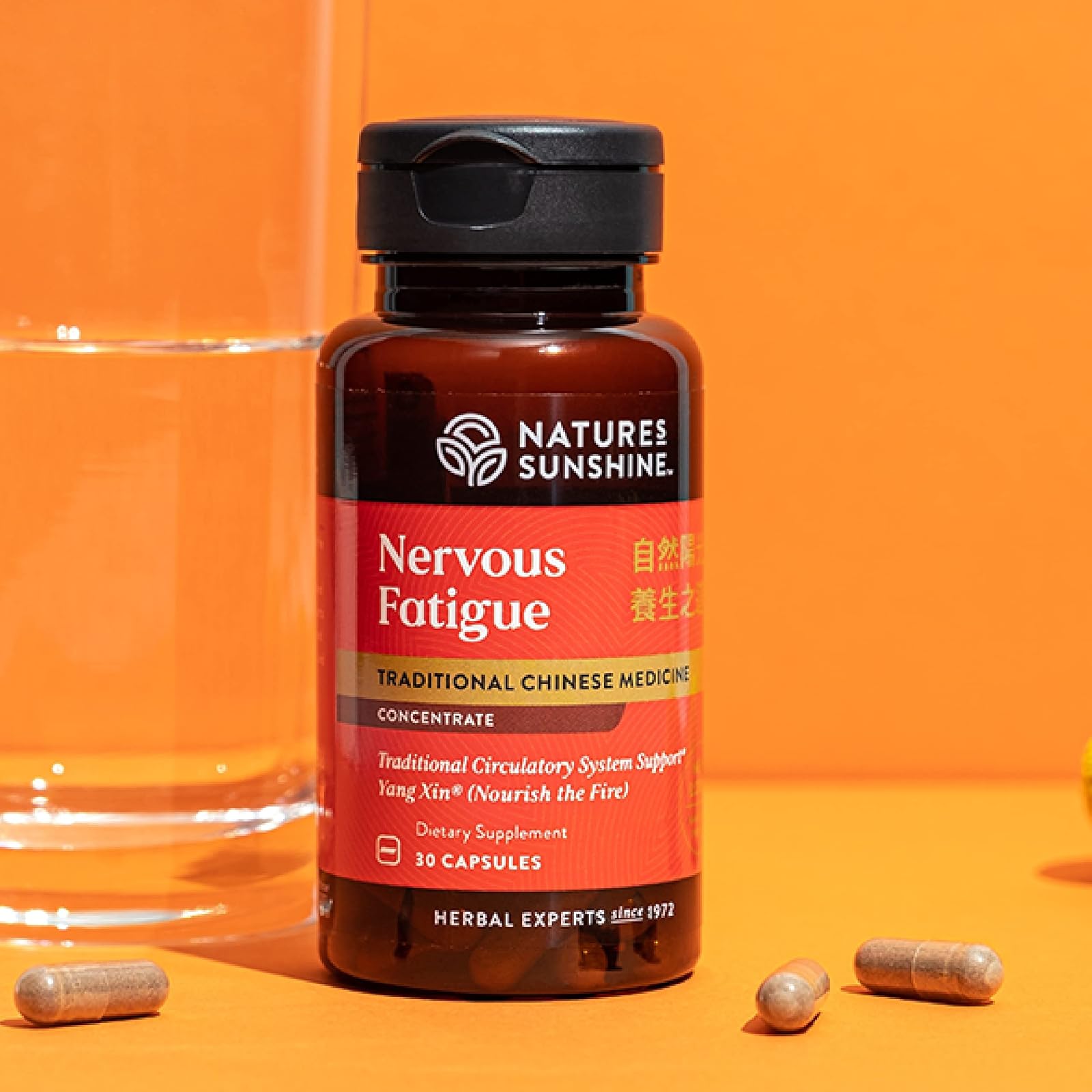 Nervous Fatigue TCM Concentrate benefits