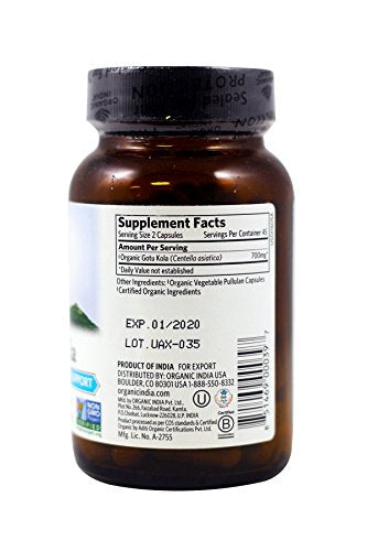 nervous system health vitamins