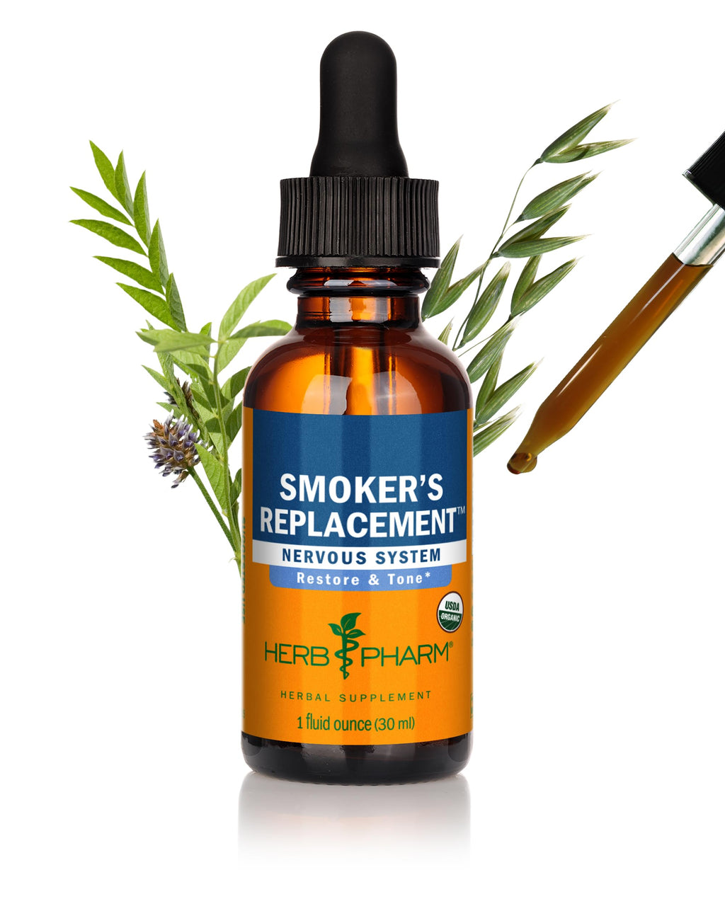 Nervous system support with echinacea