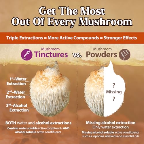 nervous system support with herbal mushrooms