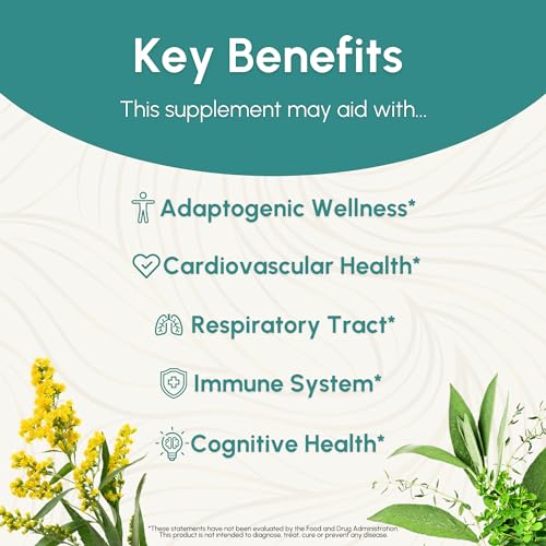 Nervous system support with Reishi mushrooms