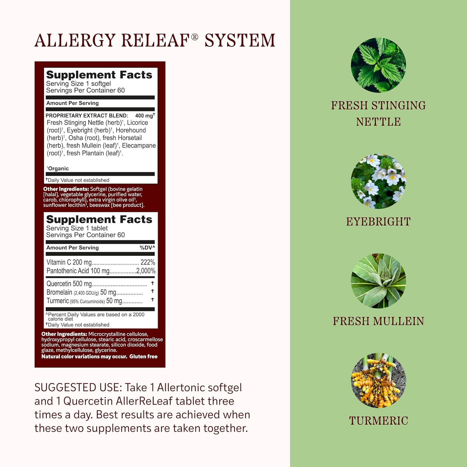 Nettle-based allergy relief system
