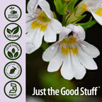 Nettle-based eye wellness formula