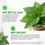 Nettle capsules for daily health