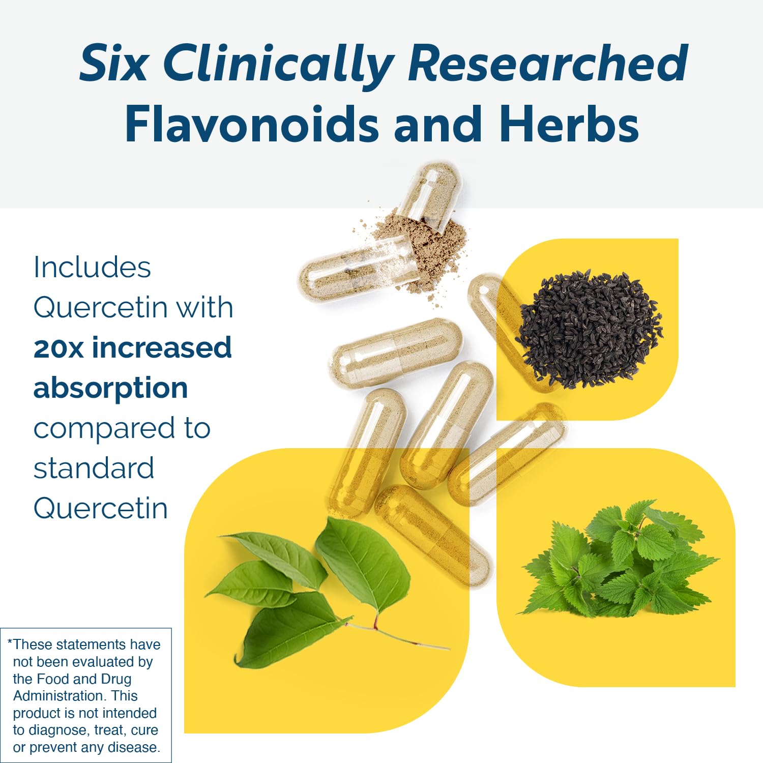Nettle capsules for immune system boost