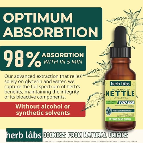 nettle extract for daily health