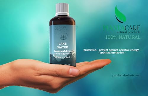 Nettle leaf extract for holistic wellness