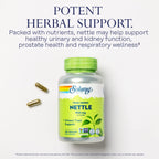 Nettle leaf for allergy relief
