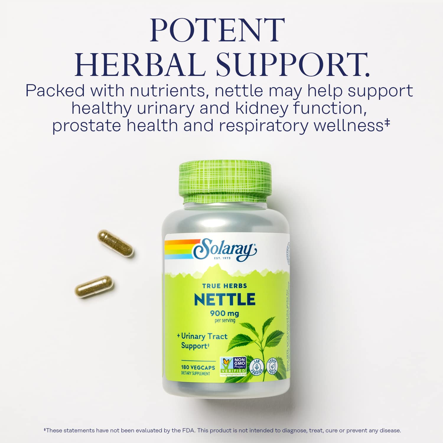 Nettle leaf for allergy relief