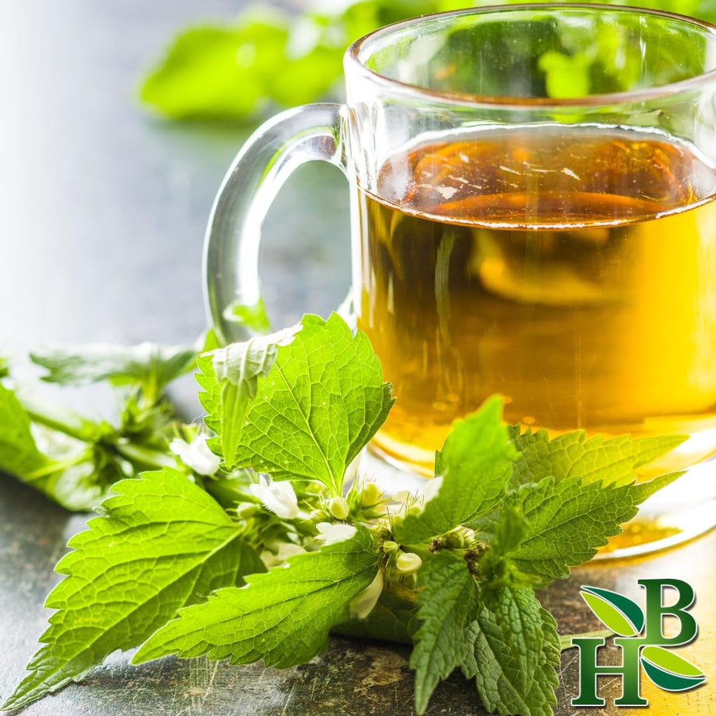 Nettle leaf for culinary uses