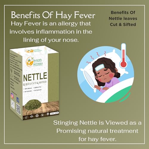 nettle leaf for smoothies
