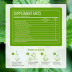 Nettle leaf tea for immune support