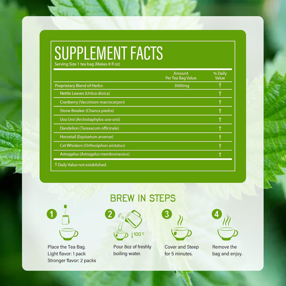 Nettle leaf tea for immune support