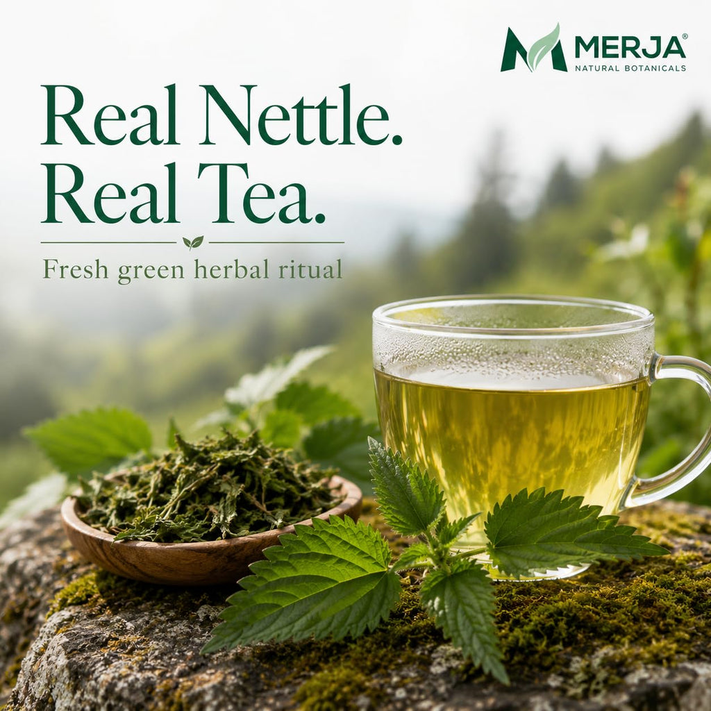 Nettle leaf tea for soothing digestion