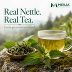 Nettle leaf tea for soothing digestion