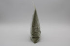 Nettle powder for immune support
