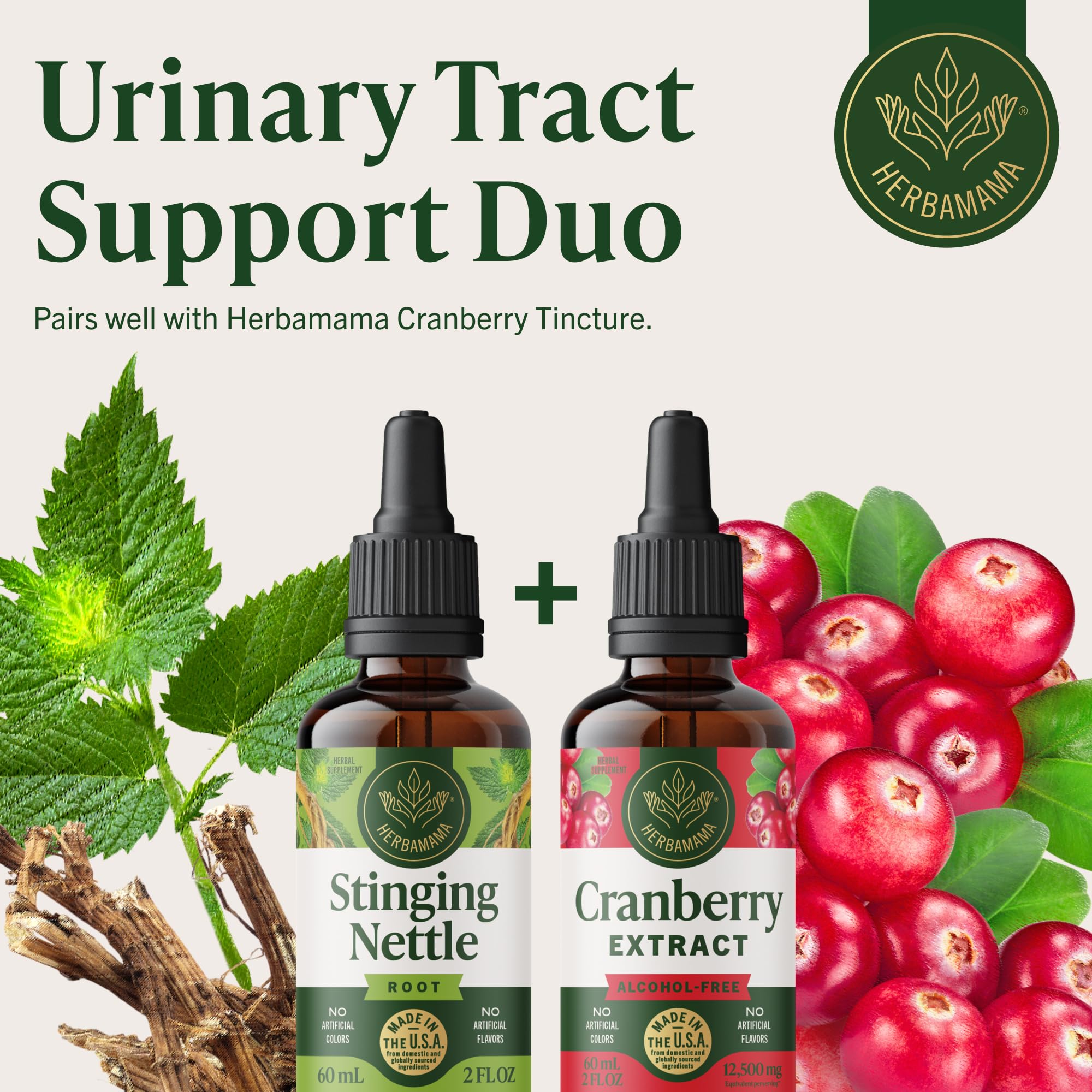 nettle root extract for energy boost