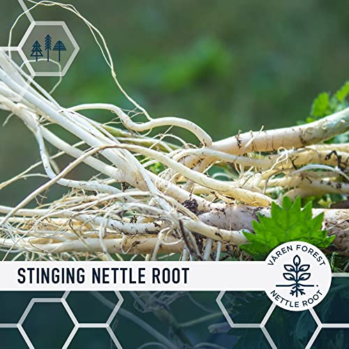 nettle root for joint health