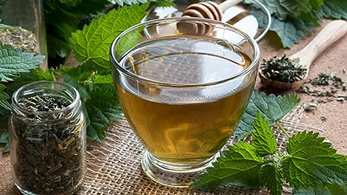 nettle seeds for immune boost