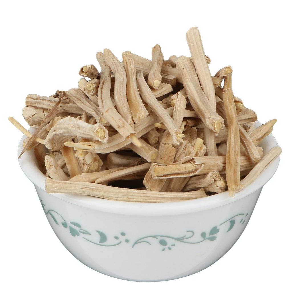 Nettle supplement for health support