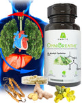 Nettle supplement for respiratory health