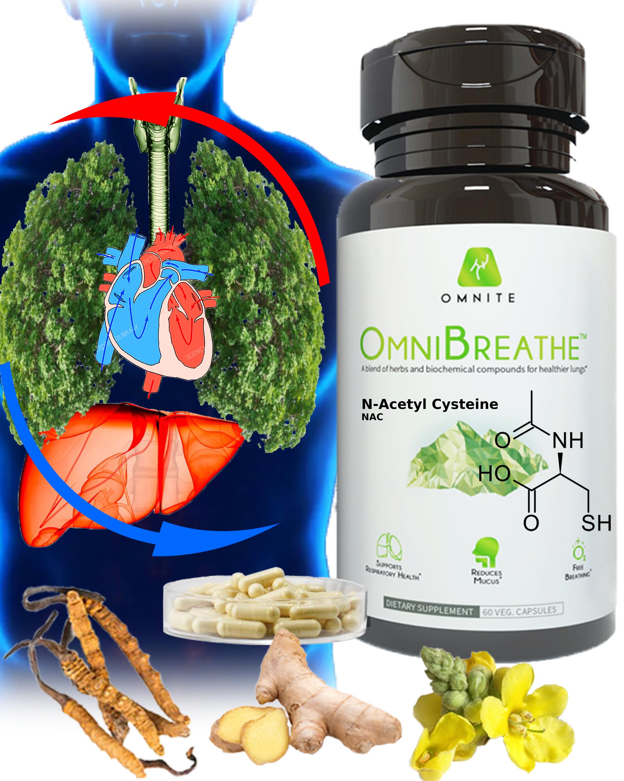 Nettle supplement for respiratory health