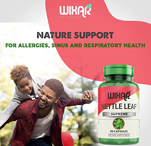 nettle supplements for overall wellness