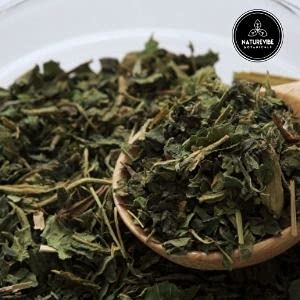nettle tea benefits for digestive health
