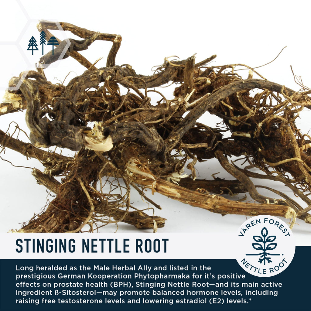 nettle tea for allergy relief