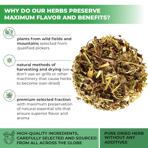 nettle tea for digestive health