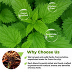 Nettle tea for immune support