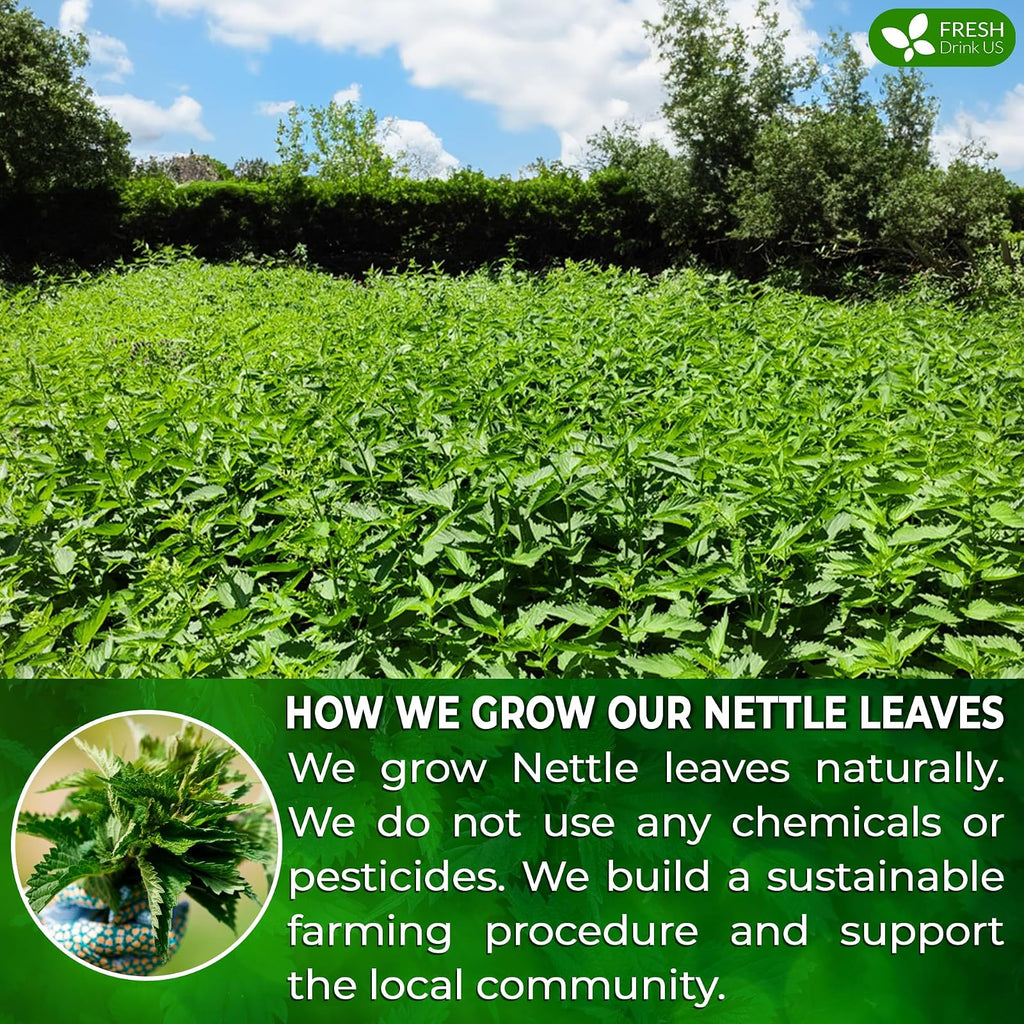 Nettle tea for natural wellness