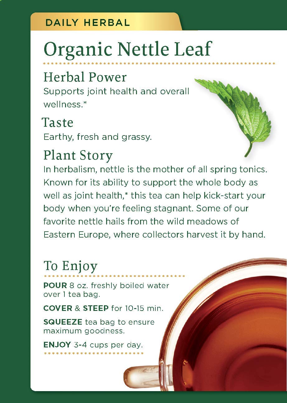 nettle tea for overall wellness