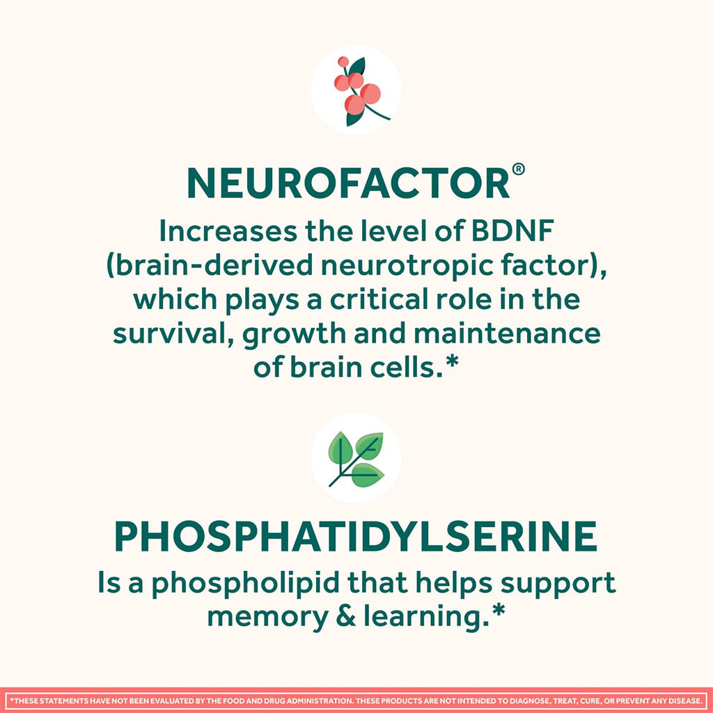 Neuriva original supplement for memory