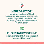 Neuriva original supplement for memory