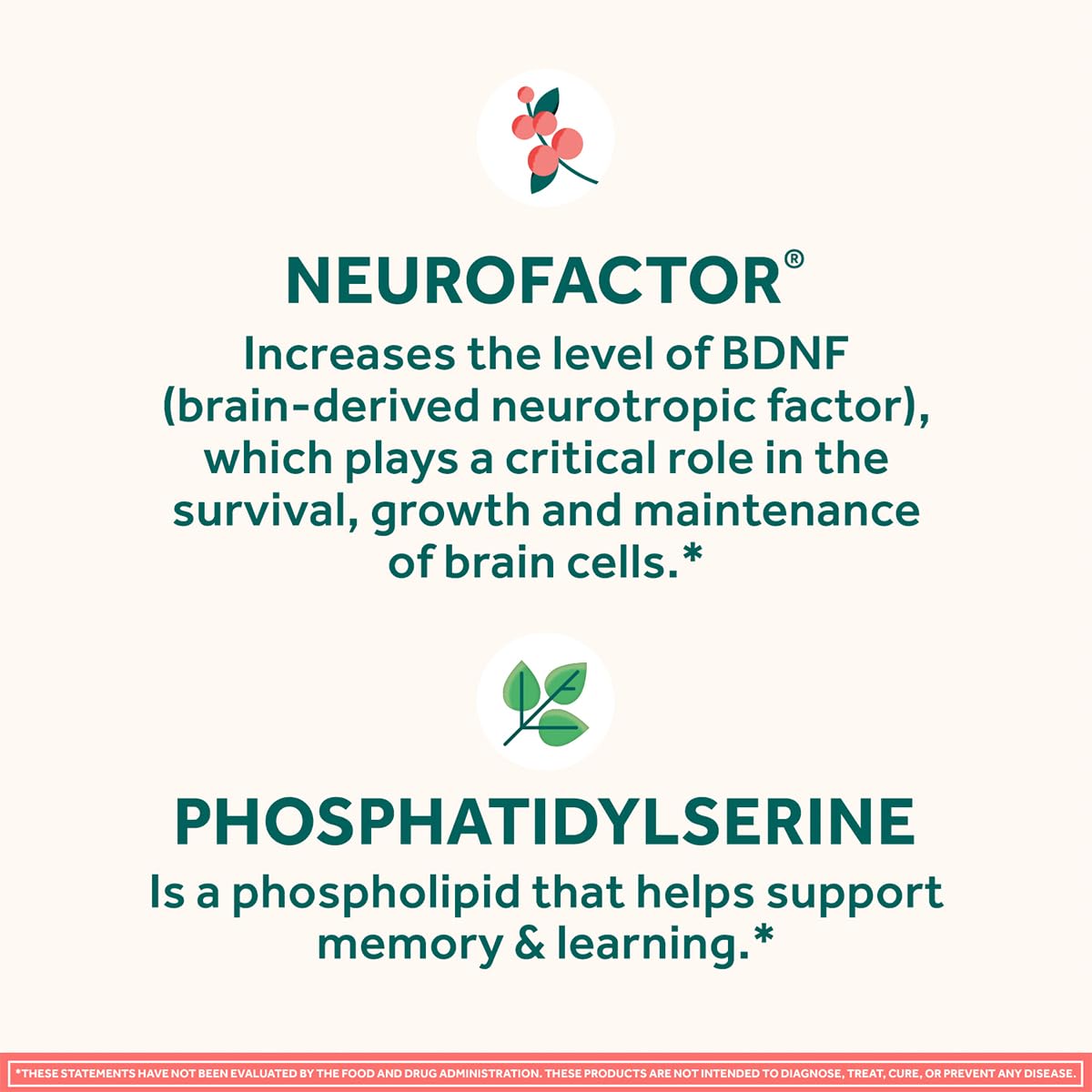 Neuriva original supplement for memory