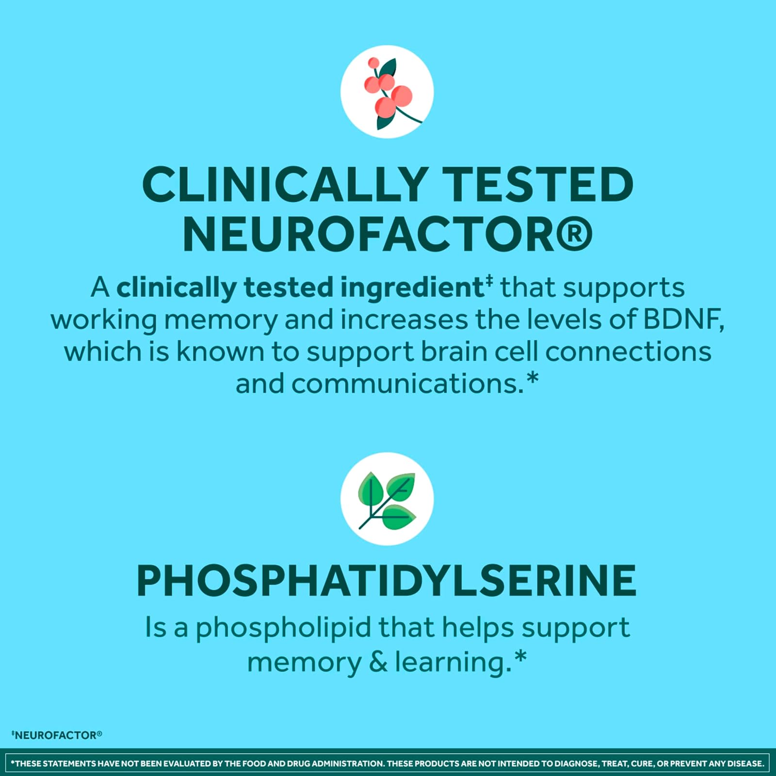 Neuriva Plus for cognitive function