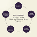 Neuro Calm capsules for better sleep