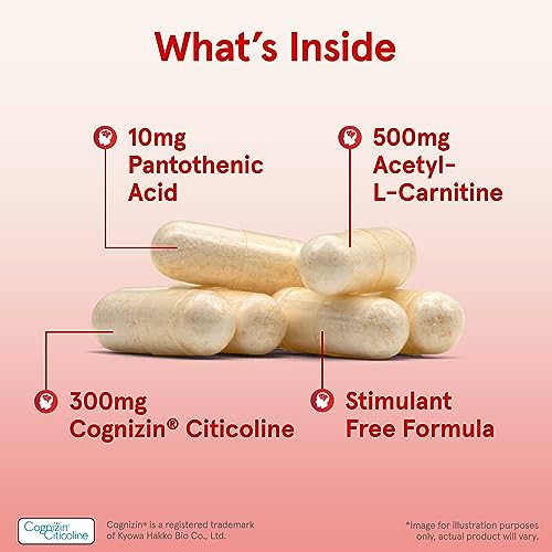 Neuro nutrient ingredients for cognitive function
