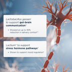 NeuroCalm Peptide vitamins for daily wellness