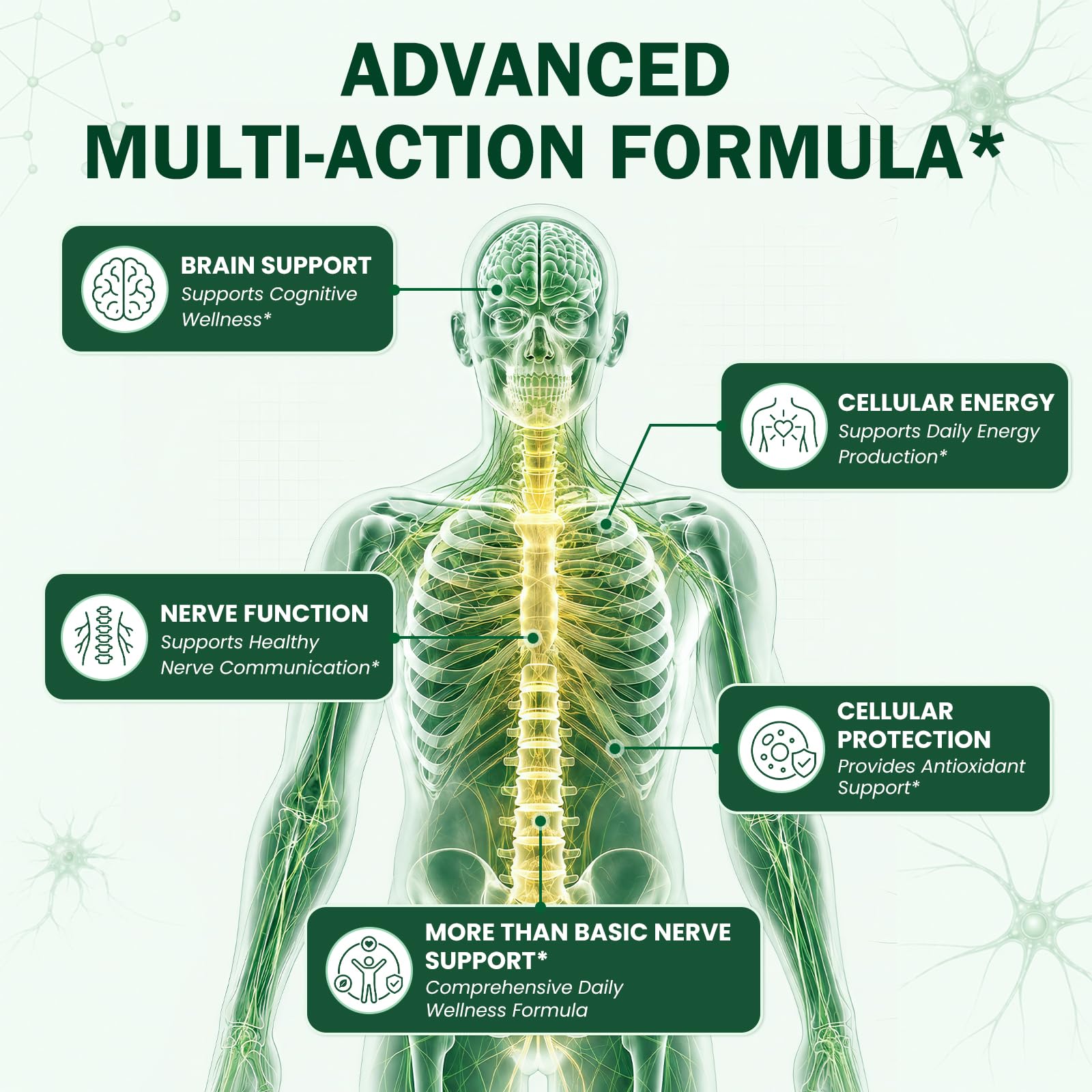 Neuropathy support for better wellness