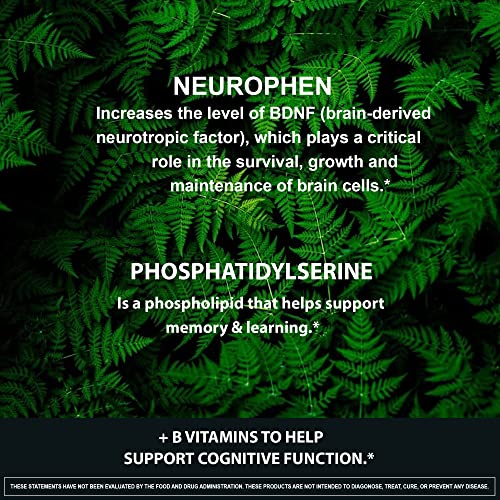 NeuroPhen for better concentration