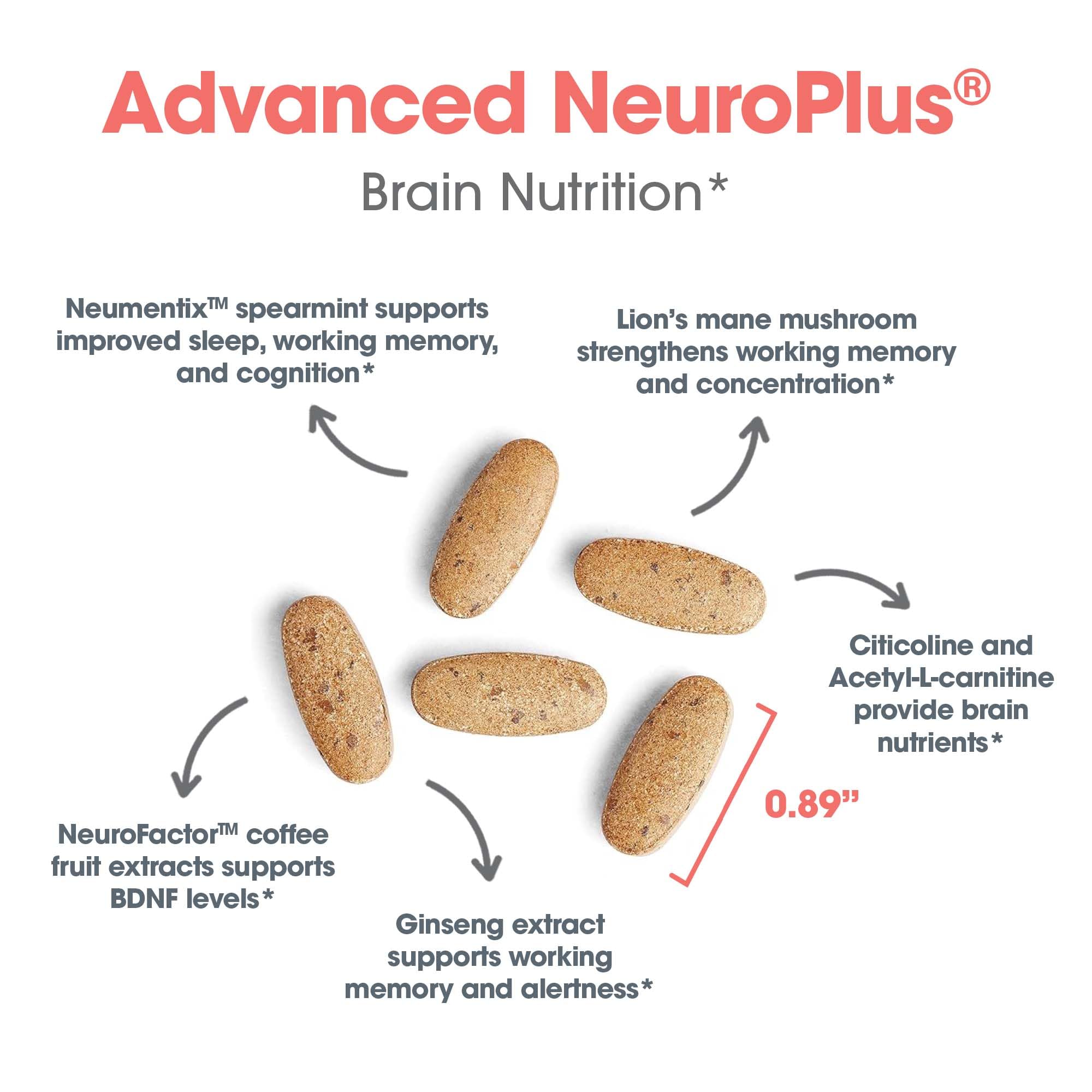neuroprotective ingredients for brain wellness