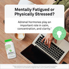Neuroscience multivitamins for daily vitality