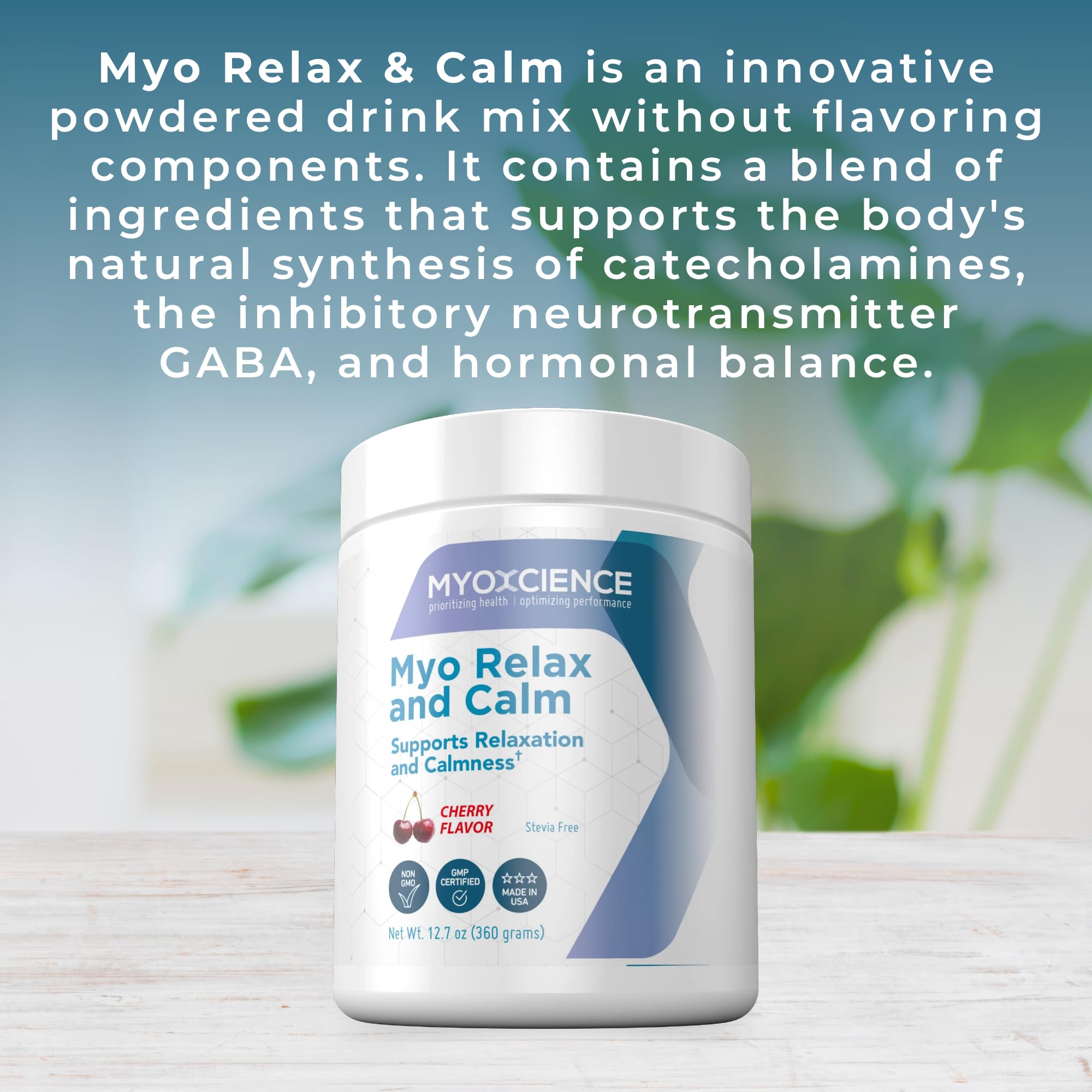 neurotransmitter support with magnesium