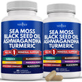 NEW AGE sea moss capsules benefits
