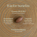 New Chapter coenzyme b complex formula