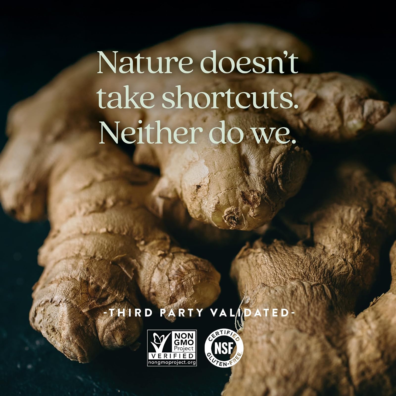 New Chapter herbal ginger benefits