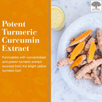NEW NORDIC turmeric curcumin for inflammation