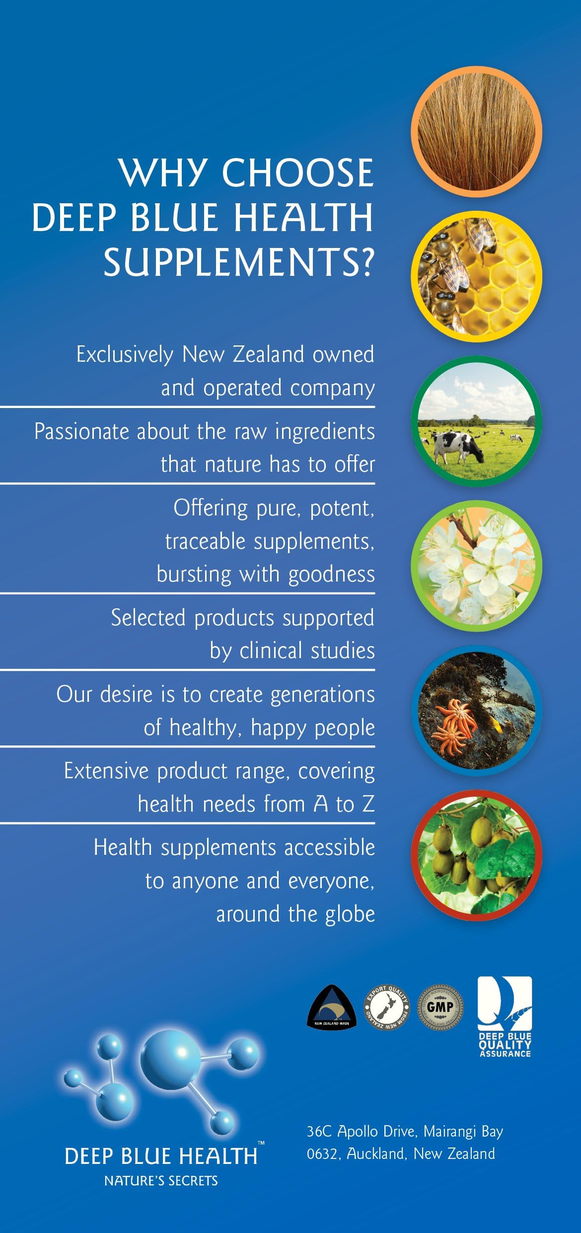 New Zealand sea cucumber benefits